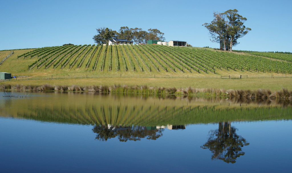 Time to Re-visit Coast with the Most - Tasmanian Times