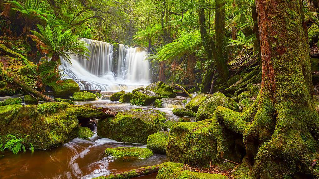 Tas Featured in Landscape Photography Collection - Tasmanian Times